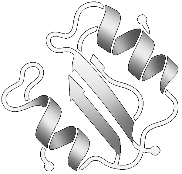 3D Proteins - Custom 3D Printed Protein Models